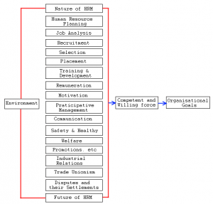 HRM Model: Building a Strategic Framework for Success