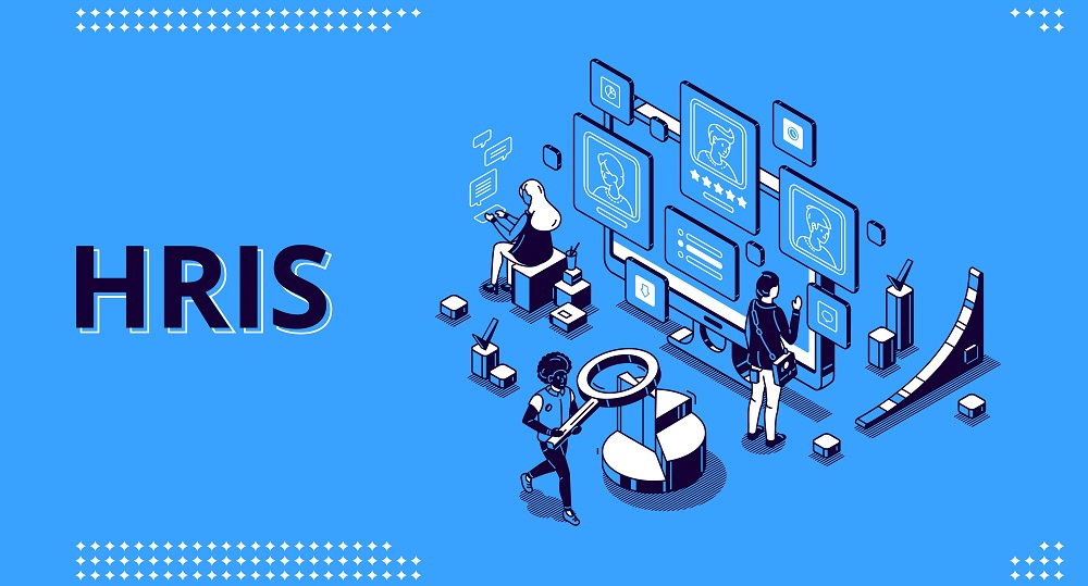 The Organizational Structure of HRIS